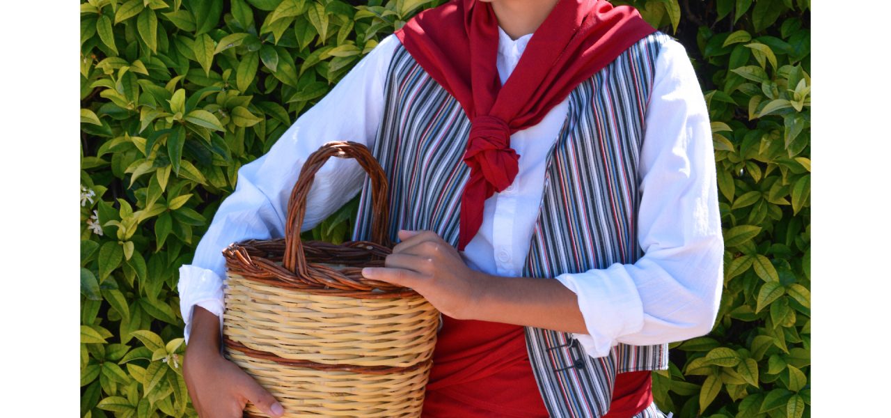 Vetits de pagès i pagesa, tradició i historia de Mallorca